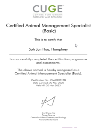 About Us - Bird Management