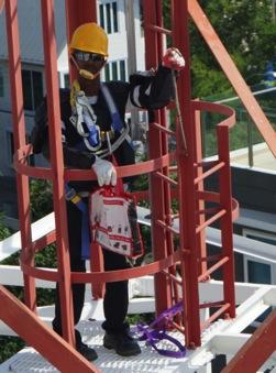 Projects - Bird Management