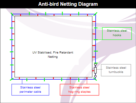 About Us - Bird Management