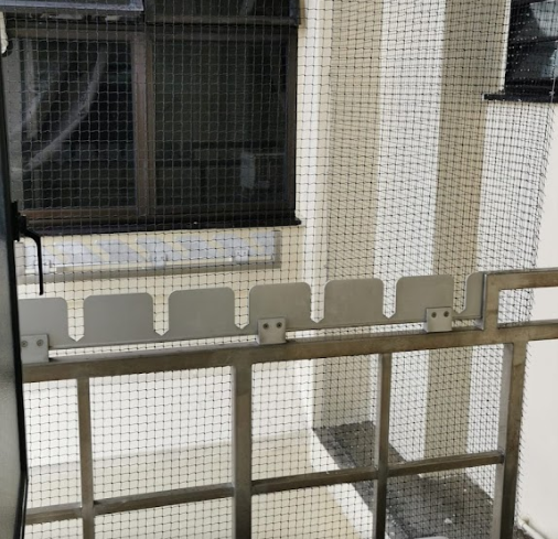 Bird Trapping - Bird Management
