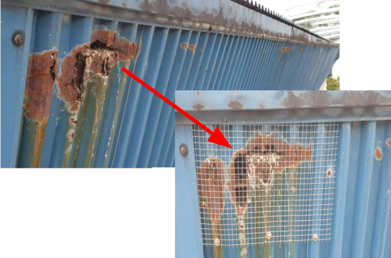 Signs of Infestation - Bird Management