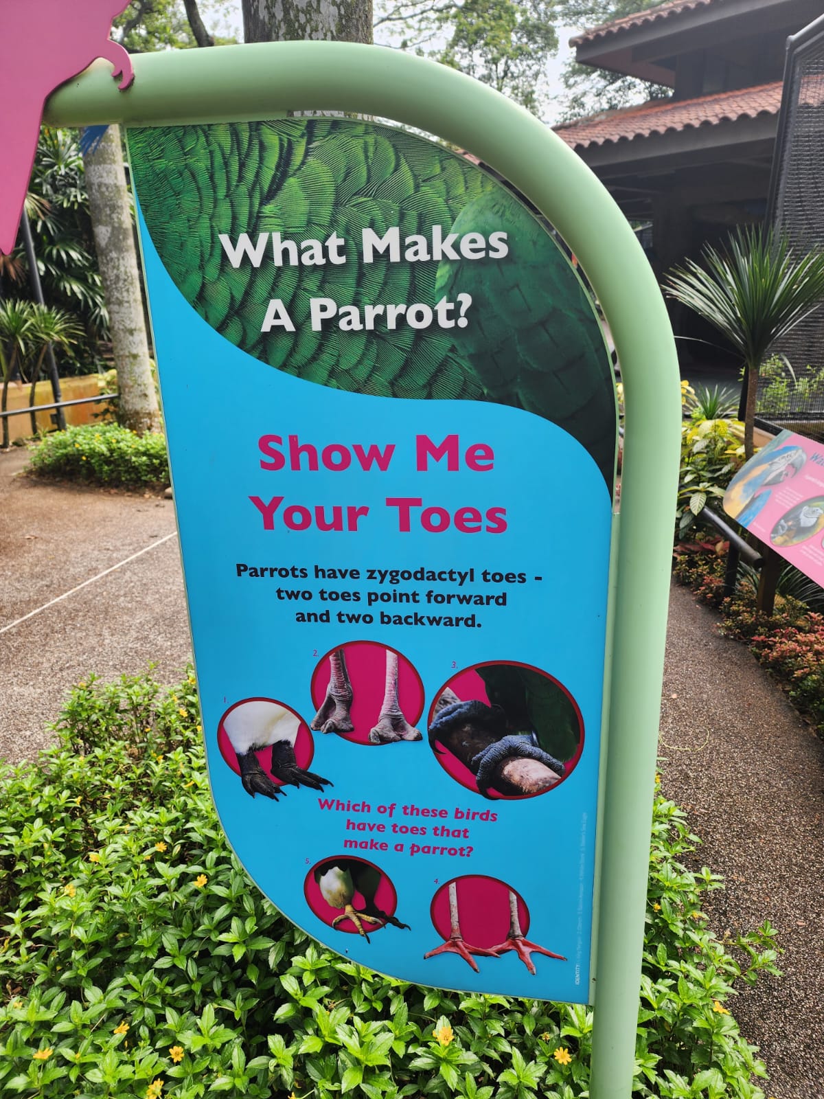 Gallery - Bird Management