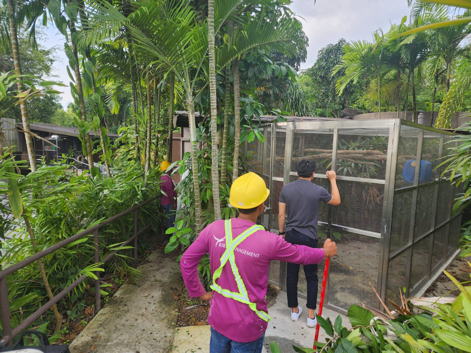 Gallery - Bird Management