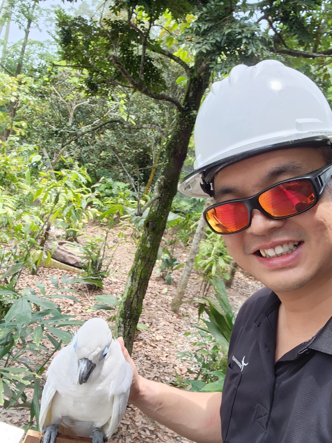 Gallery - Bird Management