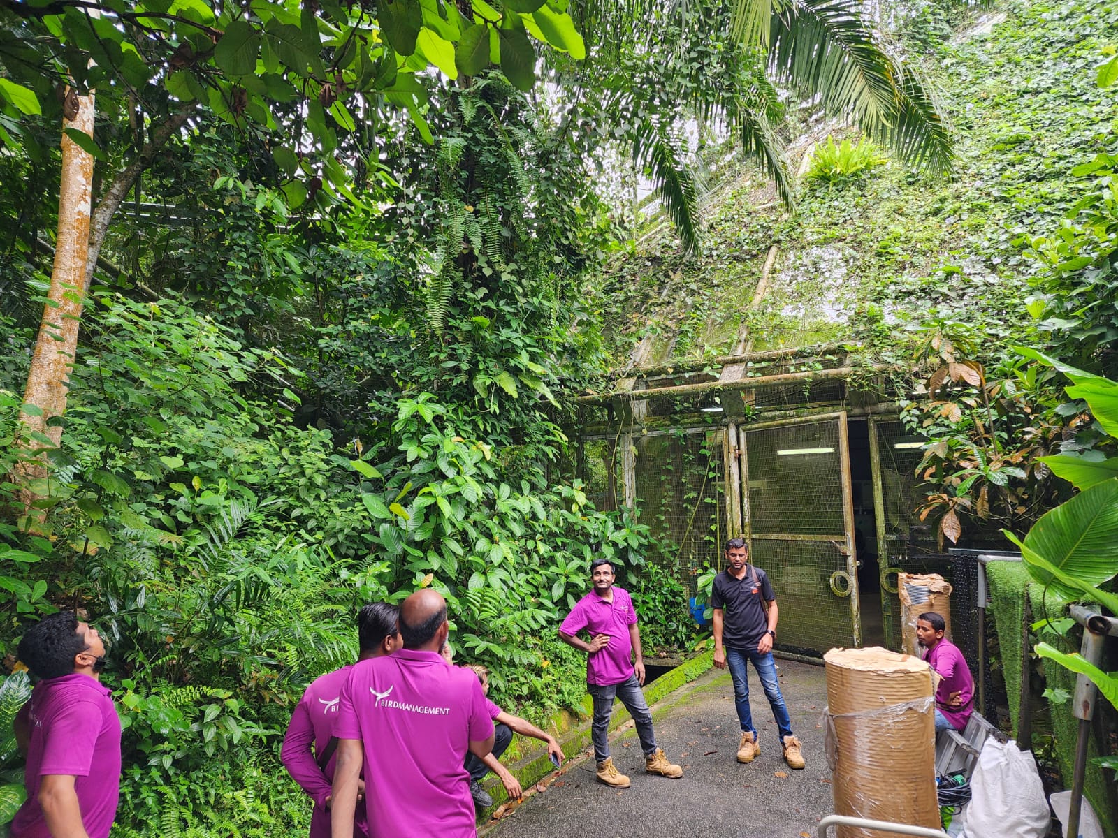 Gallery - Bird Management