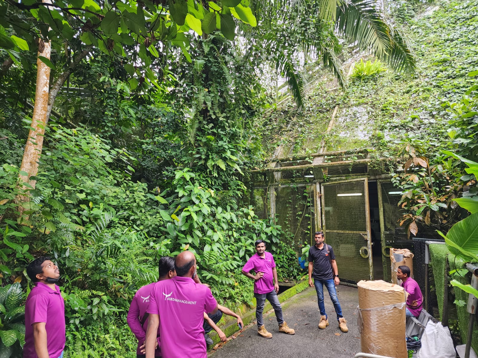 Gallery - Bird Management