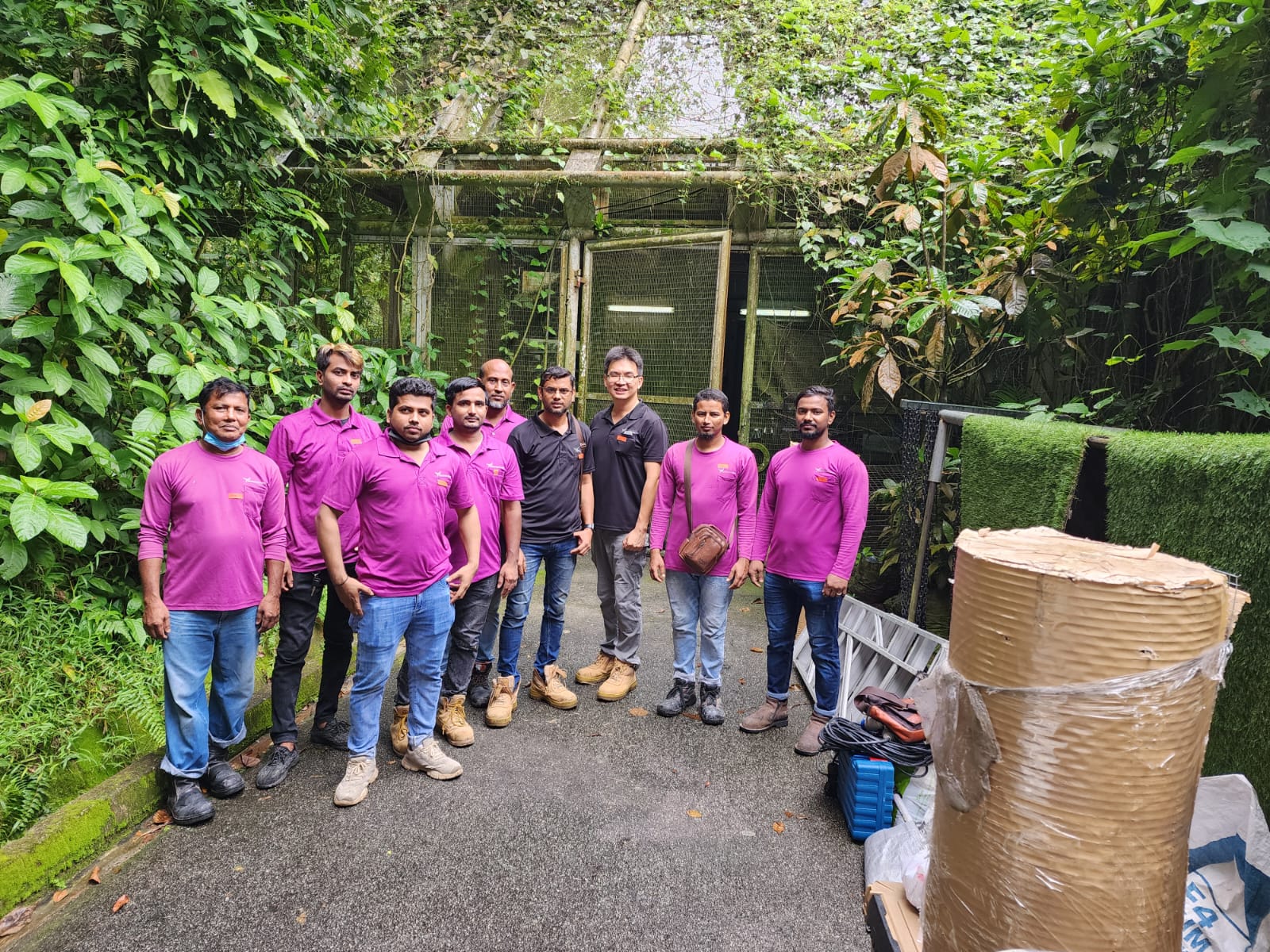 Gallery - Bird Management